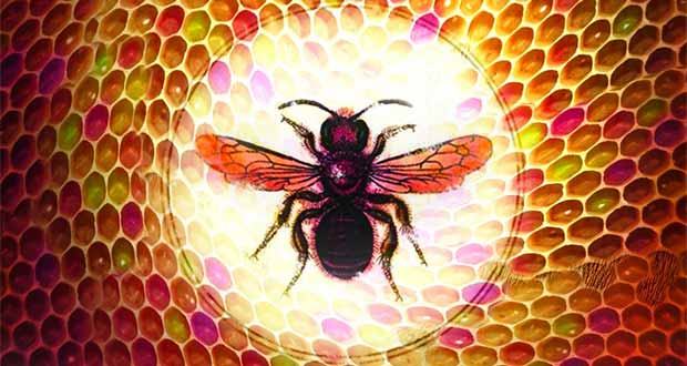 may-bee » BuchRegen